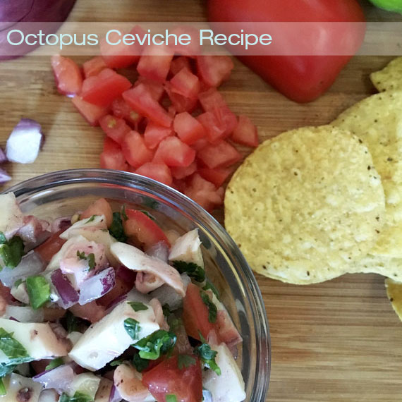Octopus Ceviche Recipe – Stuff We Eat – CO Blog